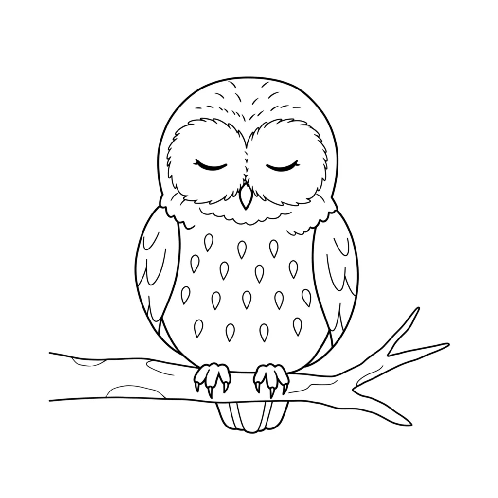 26 bagoly színező oldal PDF: Aranyos rajzok nyomtatásra